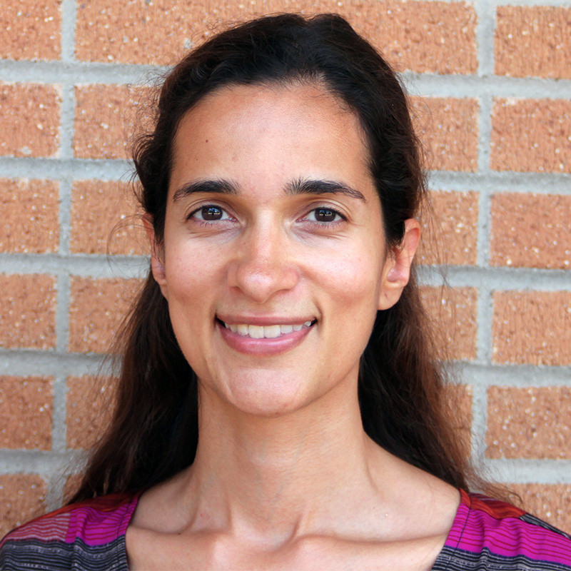 Visiting Artists | School of the Arts