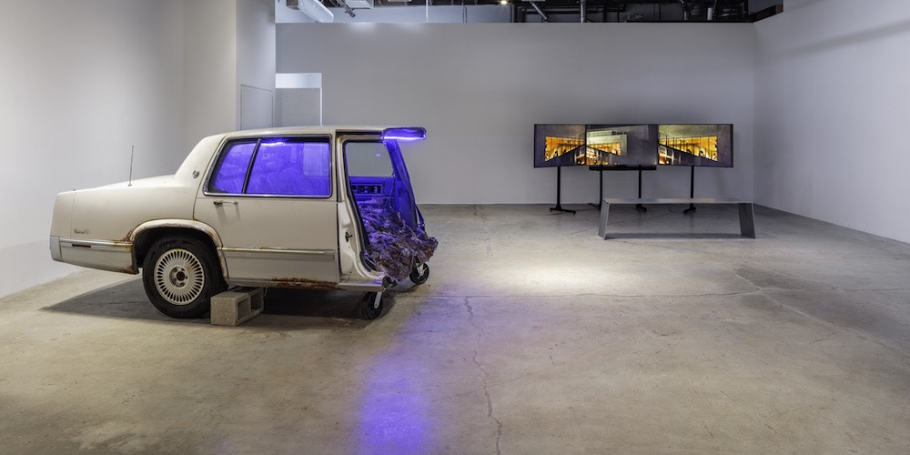 Alison Nguyen ’23 Unveils First Major Live-Action Project | School of ...